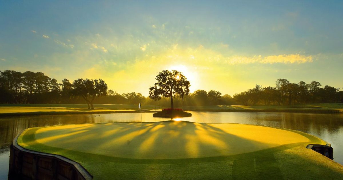 Best Golf Shots in THE PLAYERS Championship History | Florida's First ...